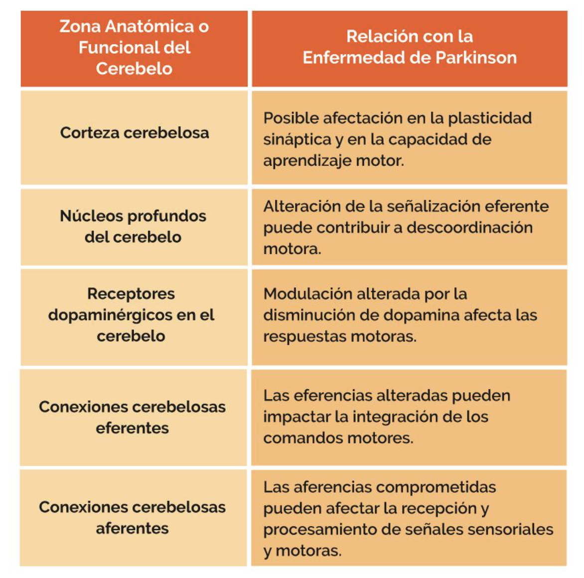 Papel del cerebelo en la enfermedad de Parkinson