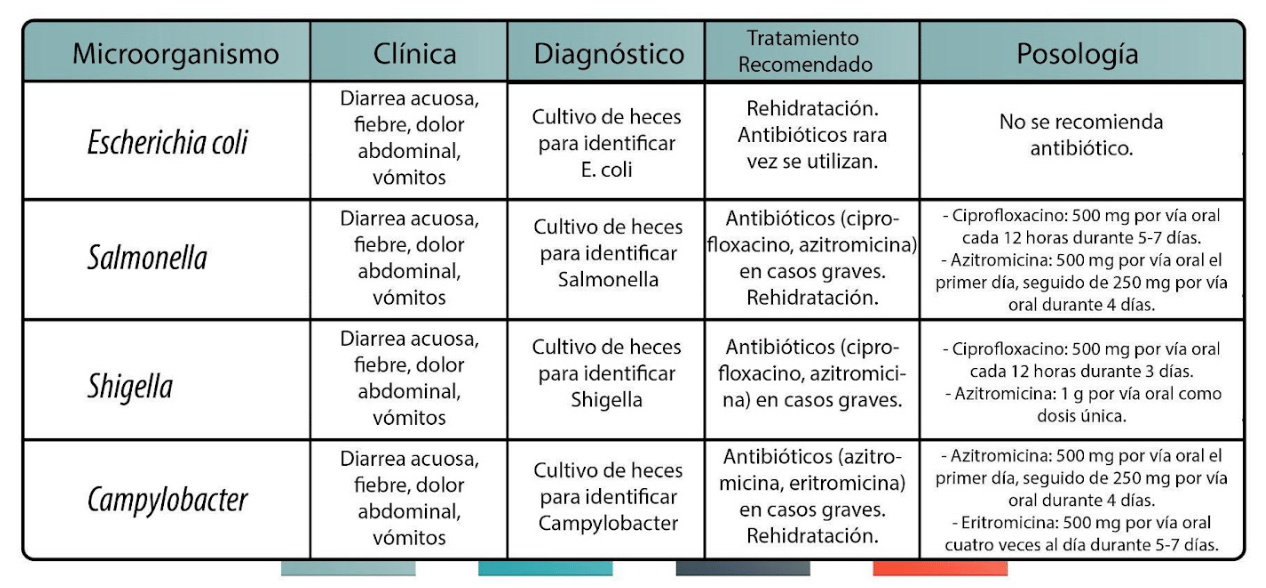 Diarrea infecciosa: recomendaciones de diagnóstico