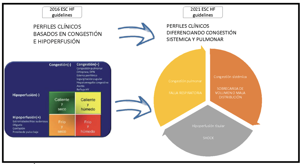 Guías de práctica clínica de falla cardíaca